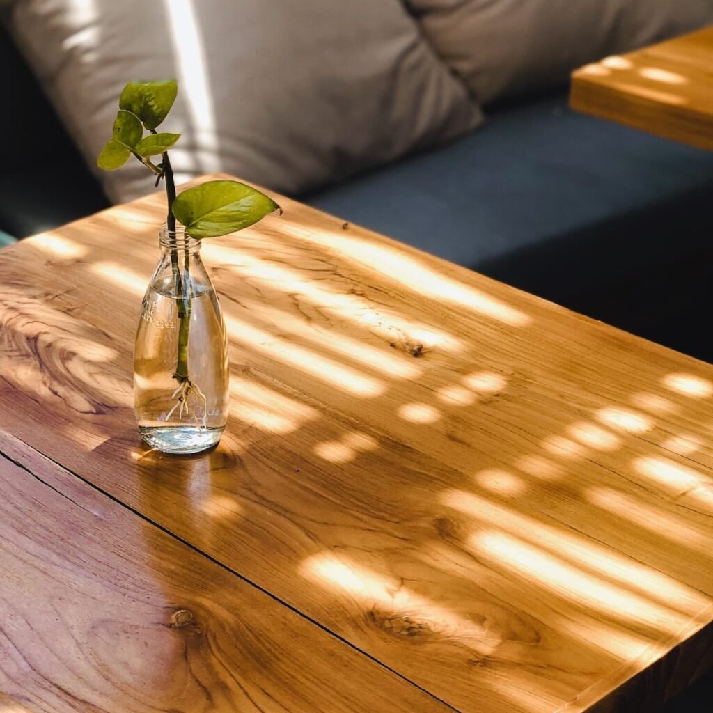 Tipos de barniz para madera y sus acabados